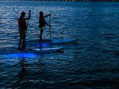 Bioluminescent Kayaking & Rafting - Florida's Best Bioluminescence Tours